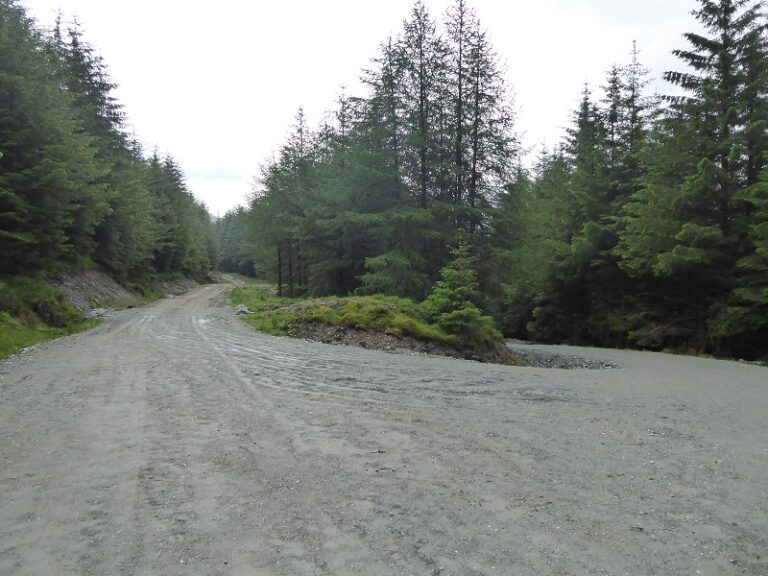 Stobo Hope, Scottish Forestry & the dubious claims made by commercial ...