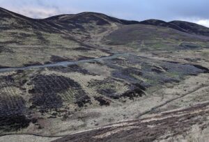 Stobo Hope, Scottish Forestry & the dubious claims made by commercial ...