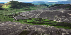 Stobo Hope, Scottish Forestry and the Court of Session - parkswatchscotland