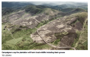 Stobo Hope, Scottish Forestry and the Court of Session - parkswatchscotland